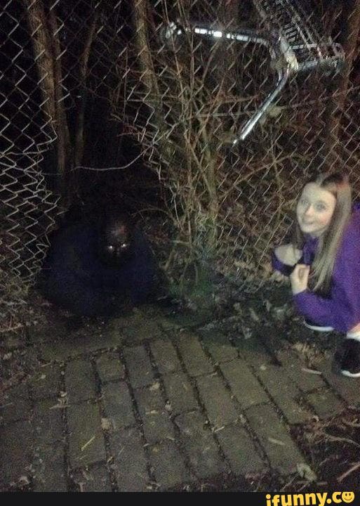 Cursed_Friend - iFunny