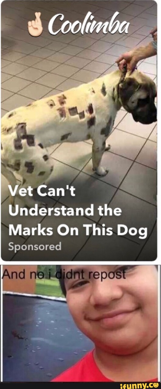 Vet Can't Understand the Marks On This Dog Sponsored - iFunny