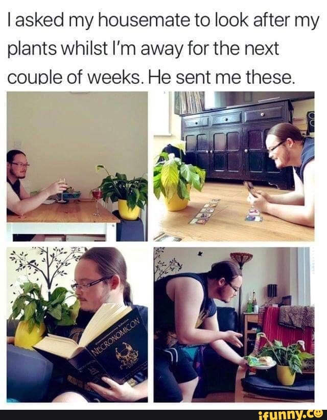 Asked my housemate to look after my plants whilst I'm away for the next ...