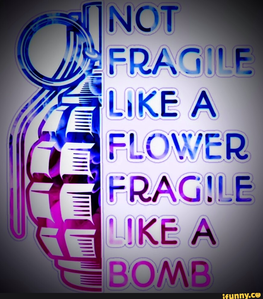 Fragile memes. Best Collection of funny Fragile pictures on iFunny