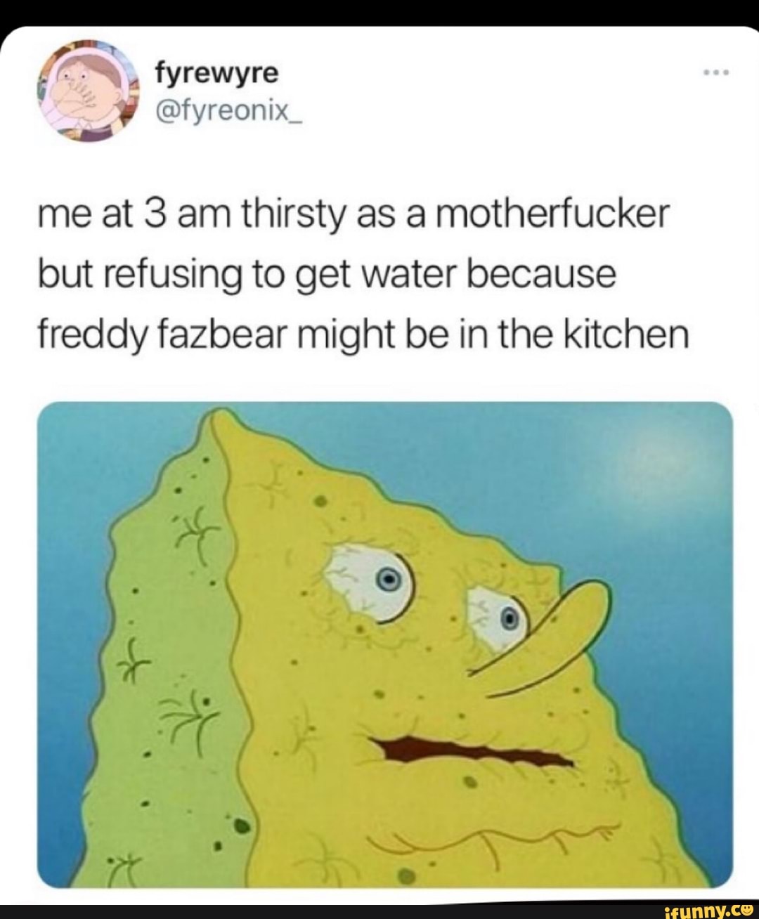 Fyrewyre Memes Best Collection Of Funny Fyrewyre Pictures On Ifunny