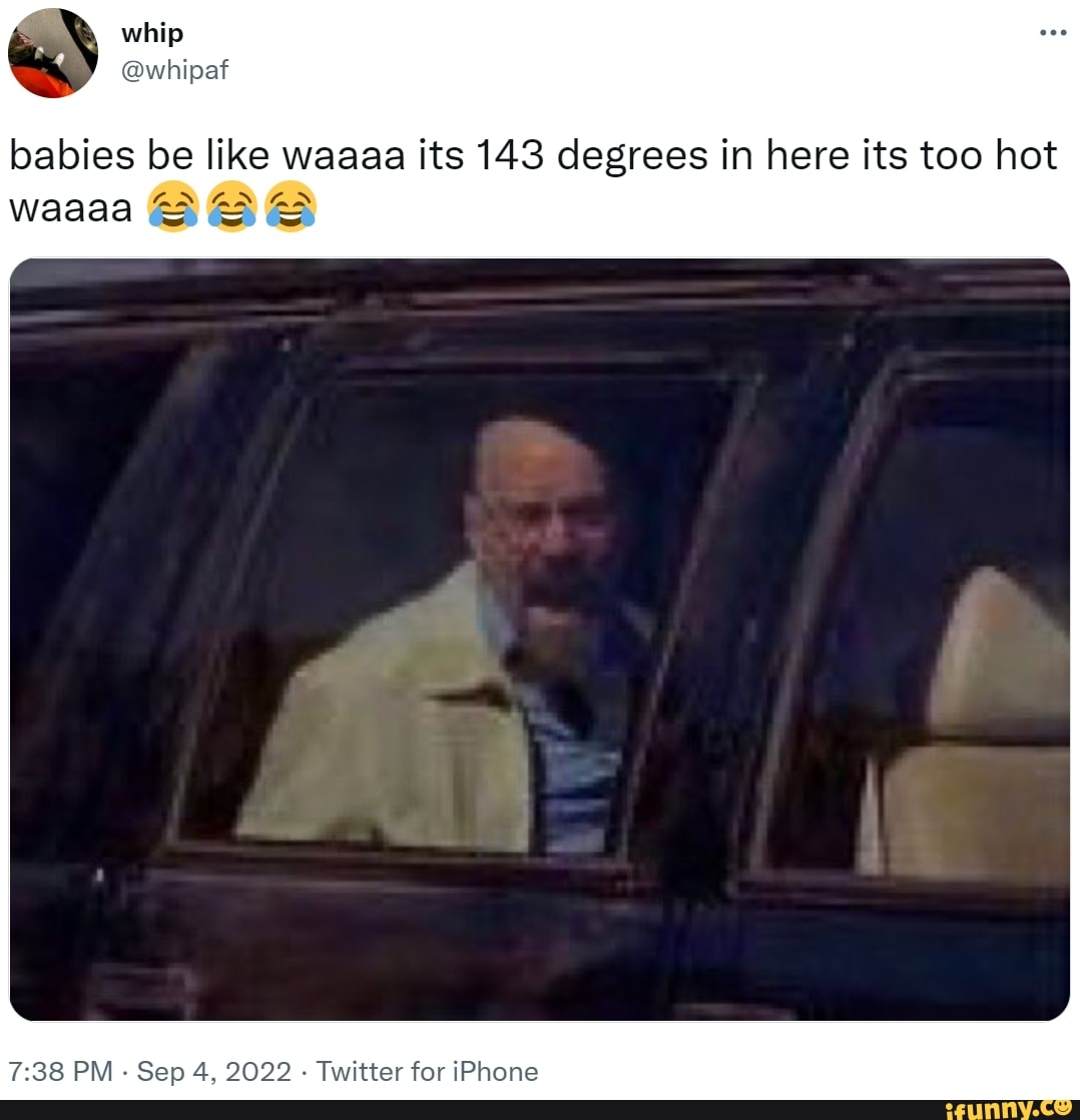 WAH WAH WAH I DON'T WANNA HEAR IT - whip pat babies be like waaaa its ...