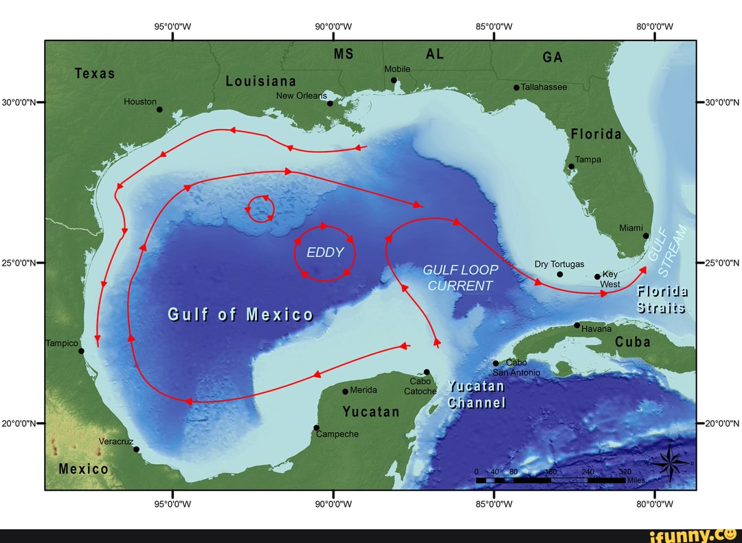 Enter the Loop Current. This is a warm water current that runs through ...