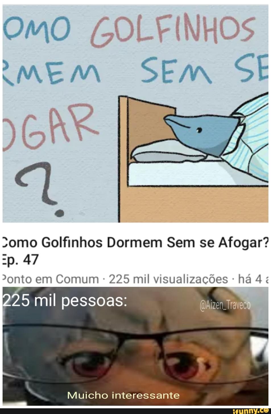 Omo GOLFINHOS AME SEM SE >omo Golfinhos Dormem Sem se Afogar? :p. 47 ...