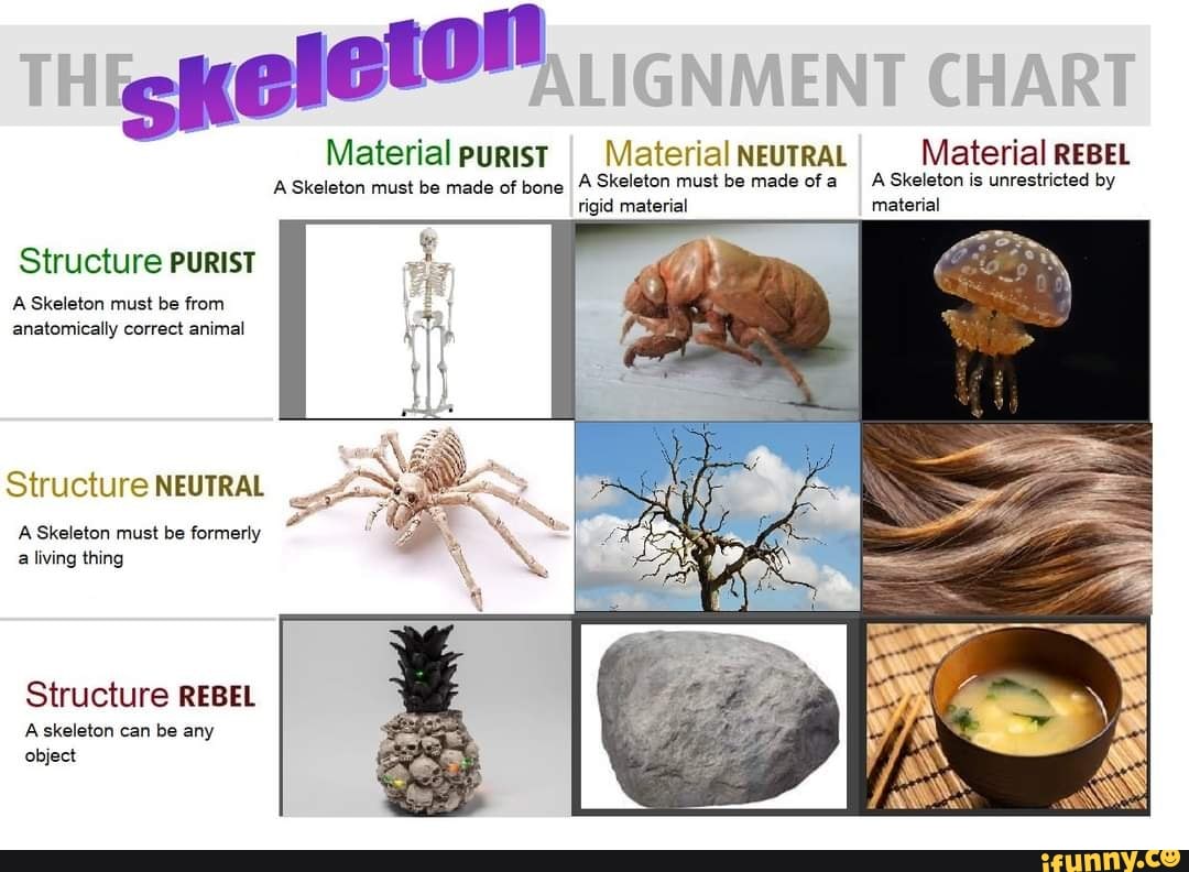 Sk Structure PURIST A Skeleton must be from anatomically correct animal ...