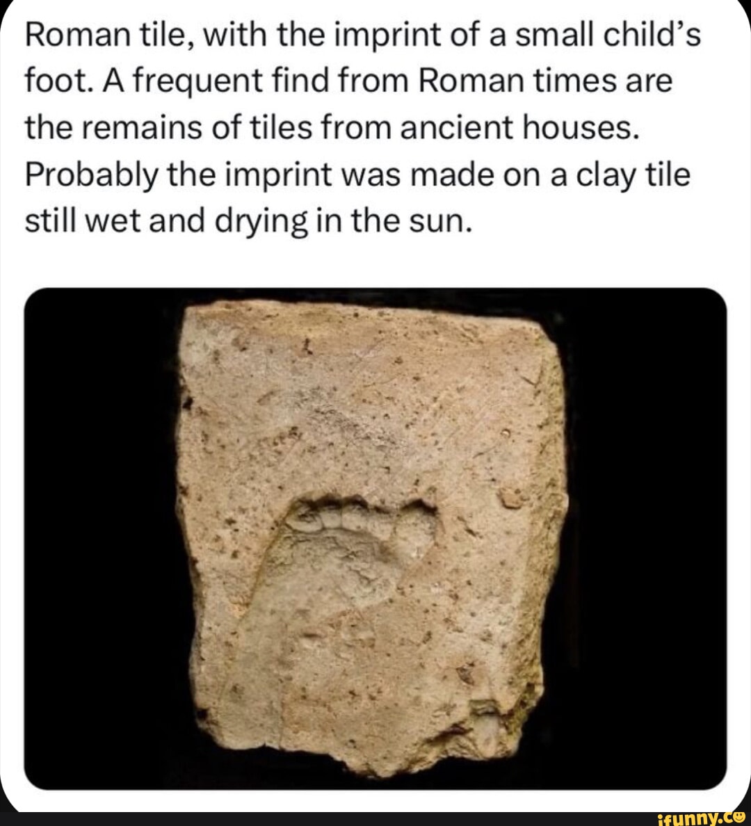 Tiles memes. Best Collection of funny Tiles pictures on iFunny