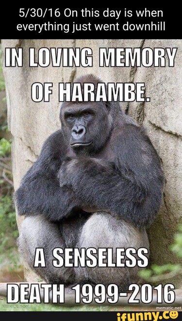 On this day is when everything just went downhill IN LOVING MEMORY OF ...