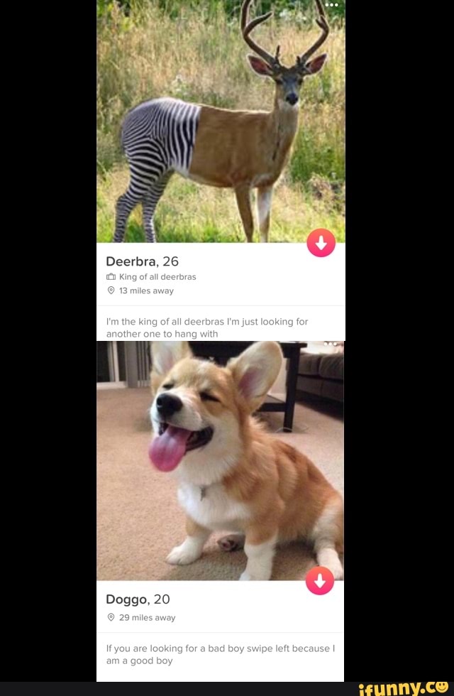 Deerbra Memes