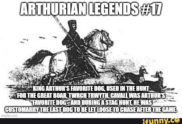 King Arthur's favorite dog, used in the hunt for the Great Boar, Twrch ...
