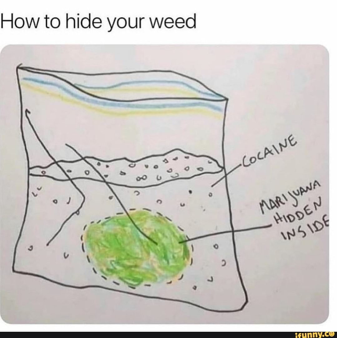 How to hide your weed - iFunny