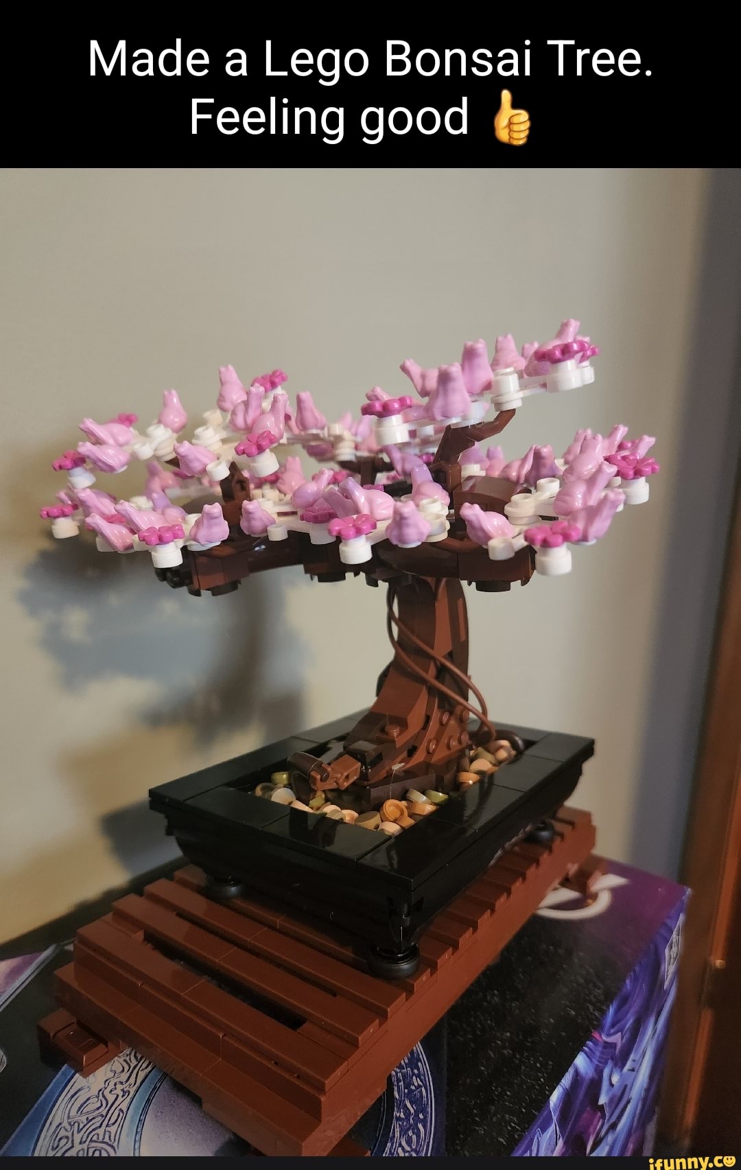 Bonsai memes. Best Collection of funny Bonsai pictures on iFunny