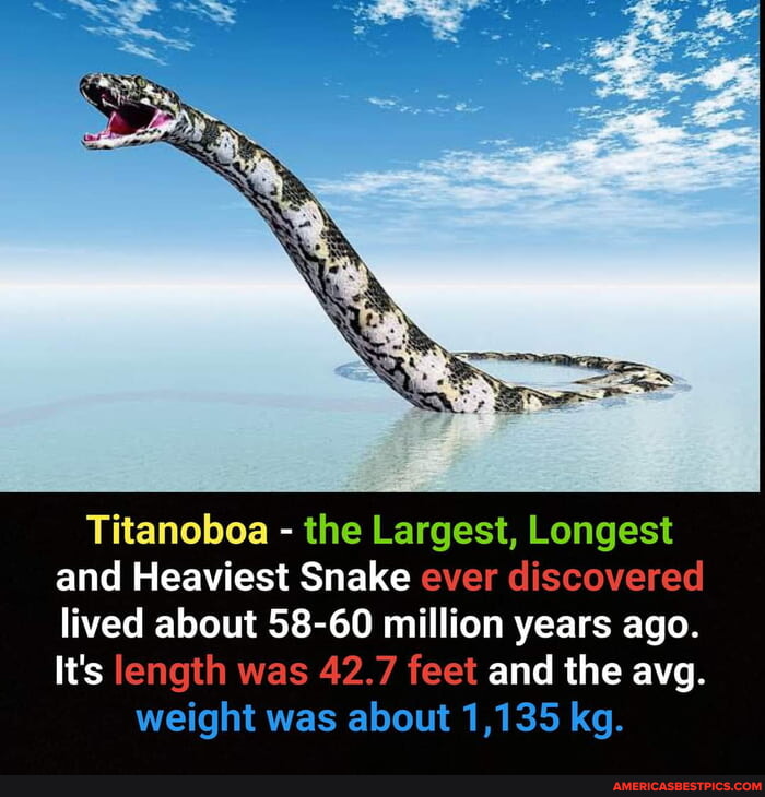 Titanoboa - the Largest, Longest and Heaviest Snake ever discovered ...