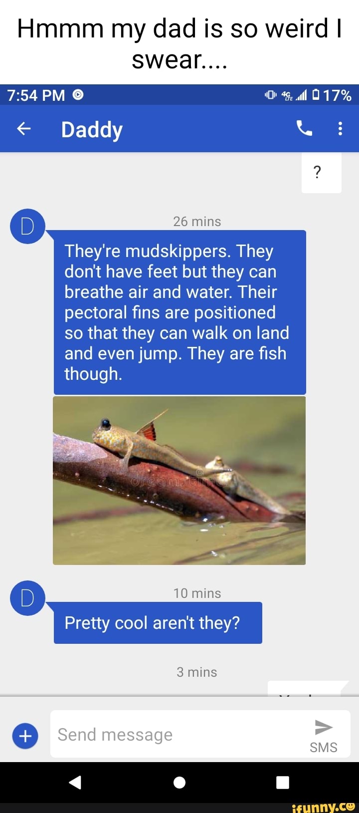 Mudskippers memes. Best Collection of funny Mudskippers pictures on iFunny