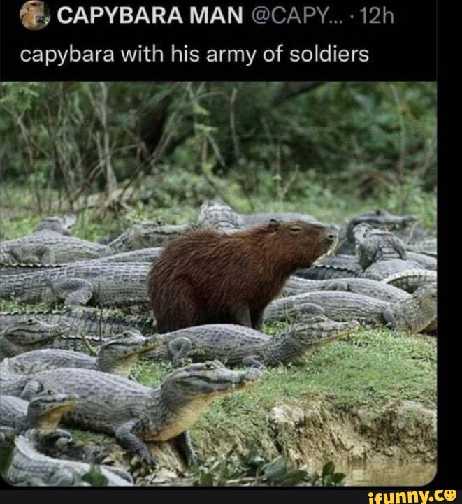 CAPYBARA MAN @CAPY...- capybara with his army of soldiers - iFunny
