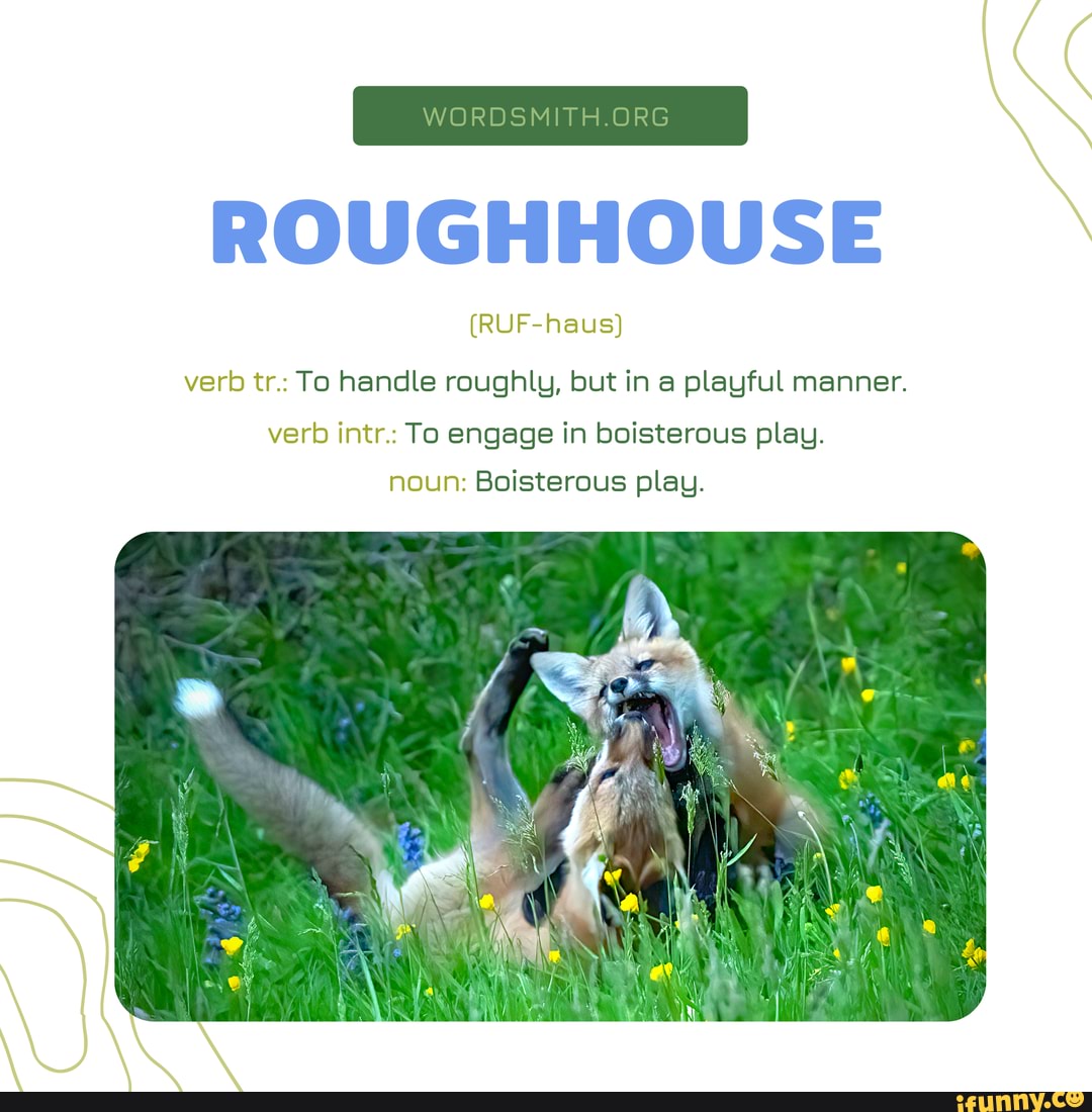 Boisterous Definition