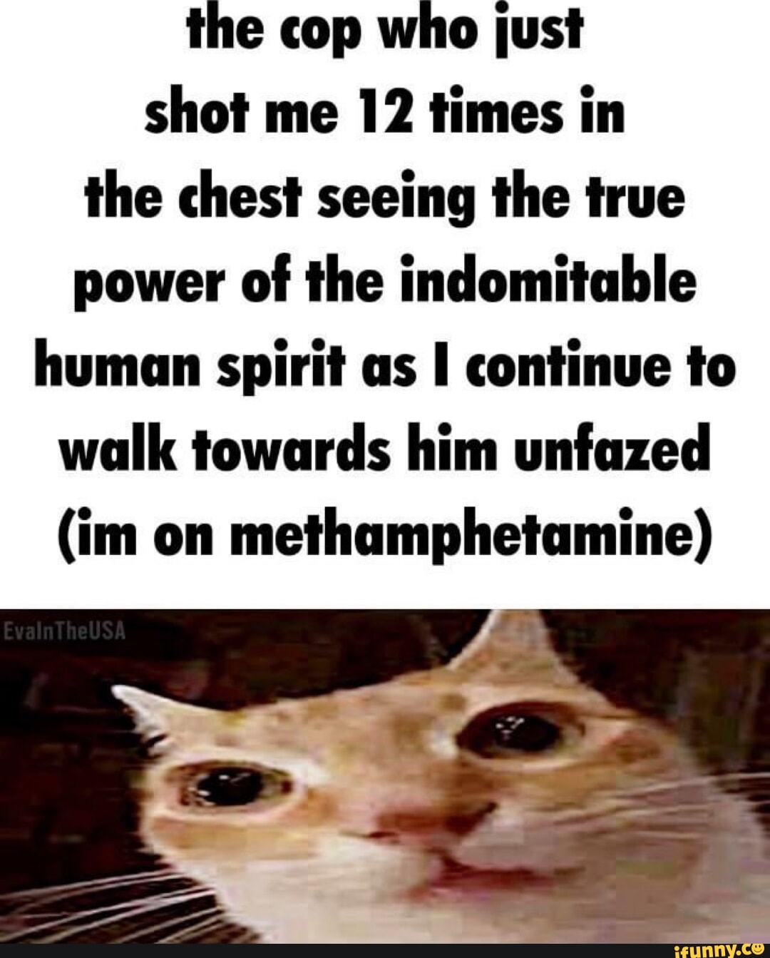 Unfazed memes. Best Collection of funny Unfazed pictures on iFunny