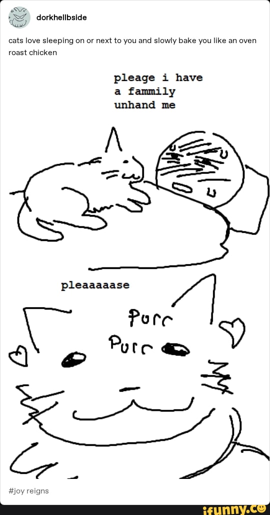 Dorkhellbside cats love sleeping on of next to you and slowly bake you ...