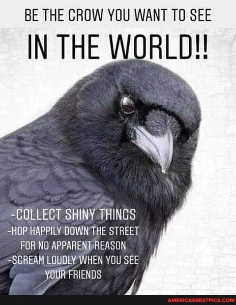 BE THE CROW YOU WANT TO SEE IN THE WORLD! -COLLECT SHINY THINGS -HOP ...
