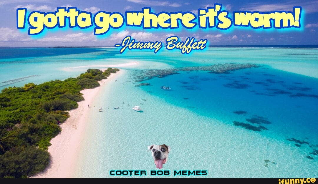 COOTER BOB MEMES - iFunny