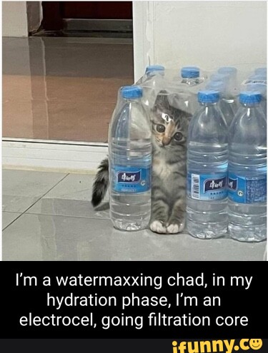 I'm a watermaxxing chad, in my hydration phase, I'm an electrocel ...