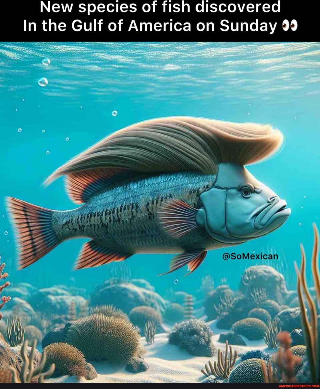 New species of fish discovered In the Gulf of America on Sunday 99 _3 ...