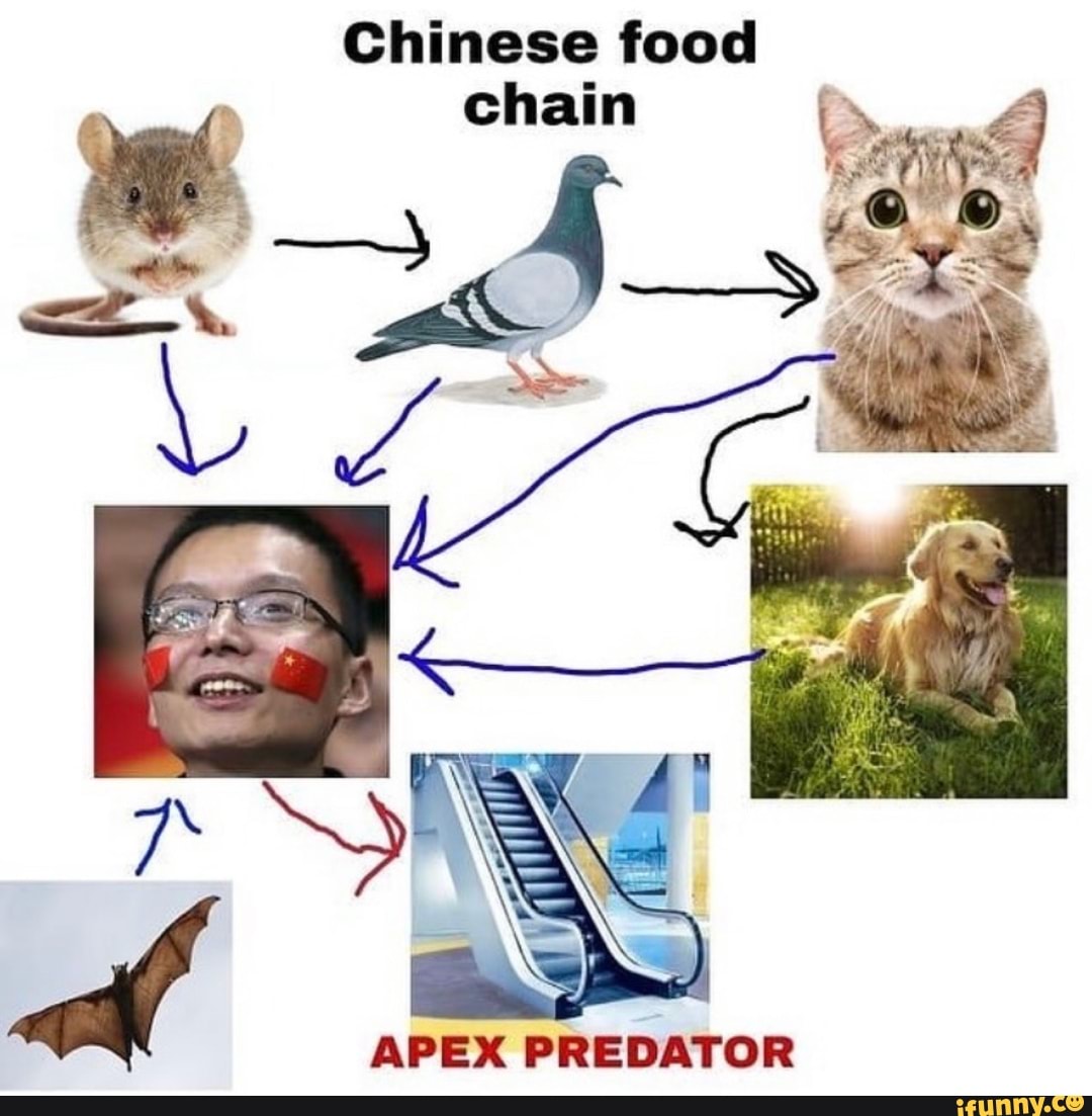 Chinese food chain APEX PREDATOR - iFunny