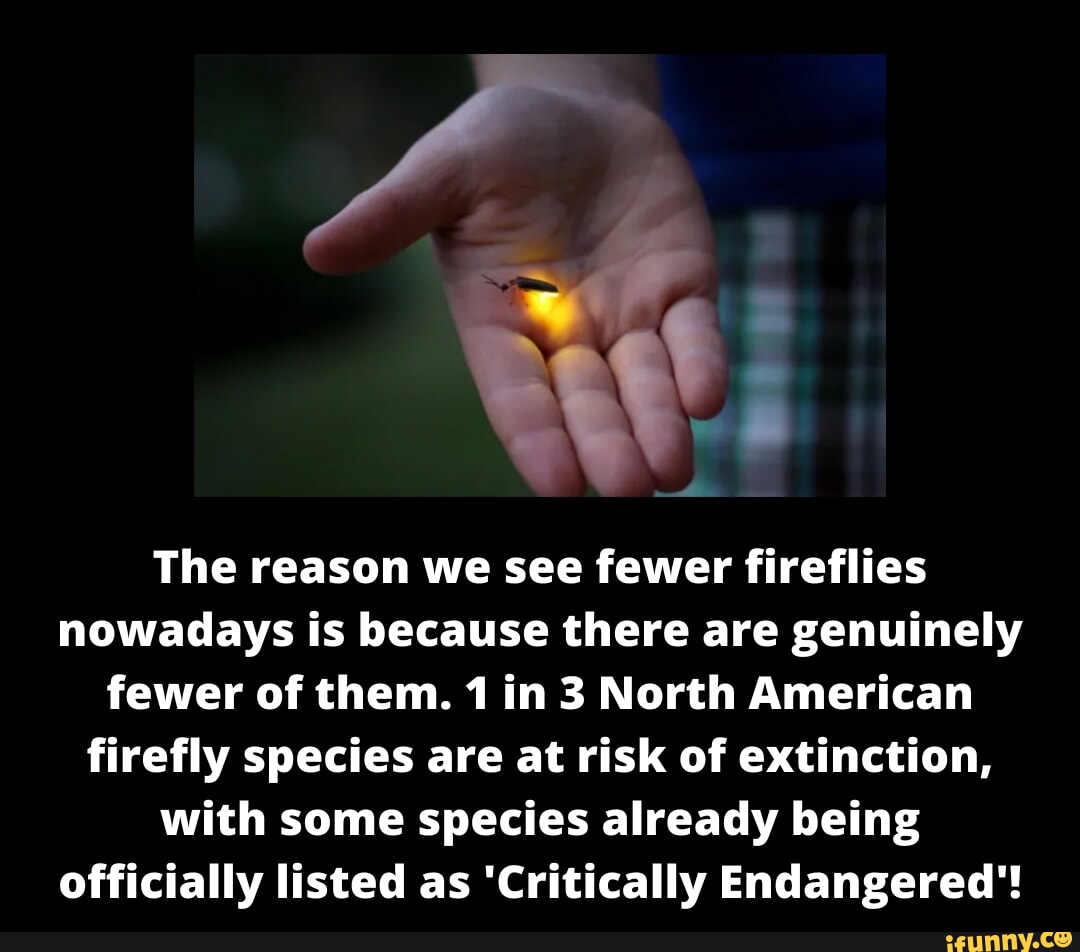 Extinction memes. Best Collection of funny Extinction pictures on iFunny