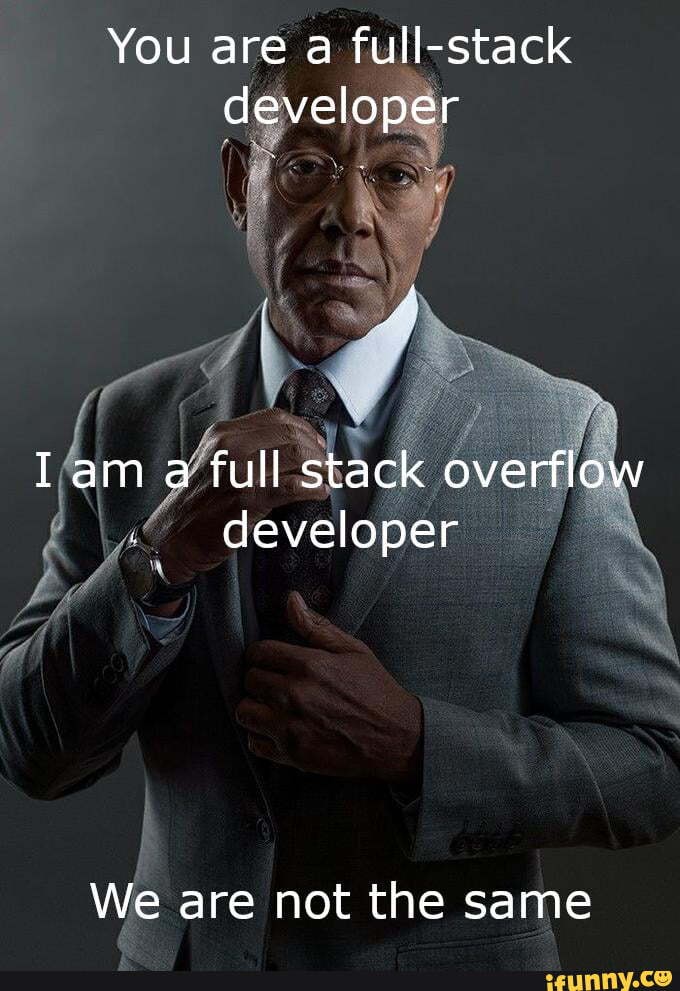 You are a stack developer I am a full stack overflow developer We are ...