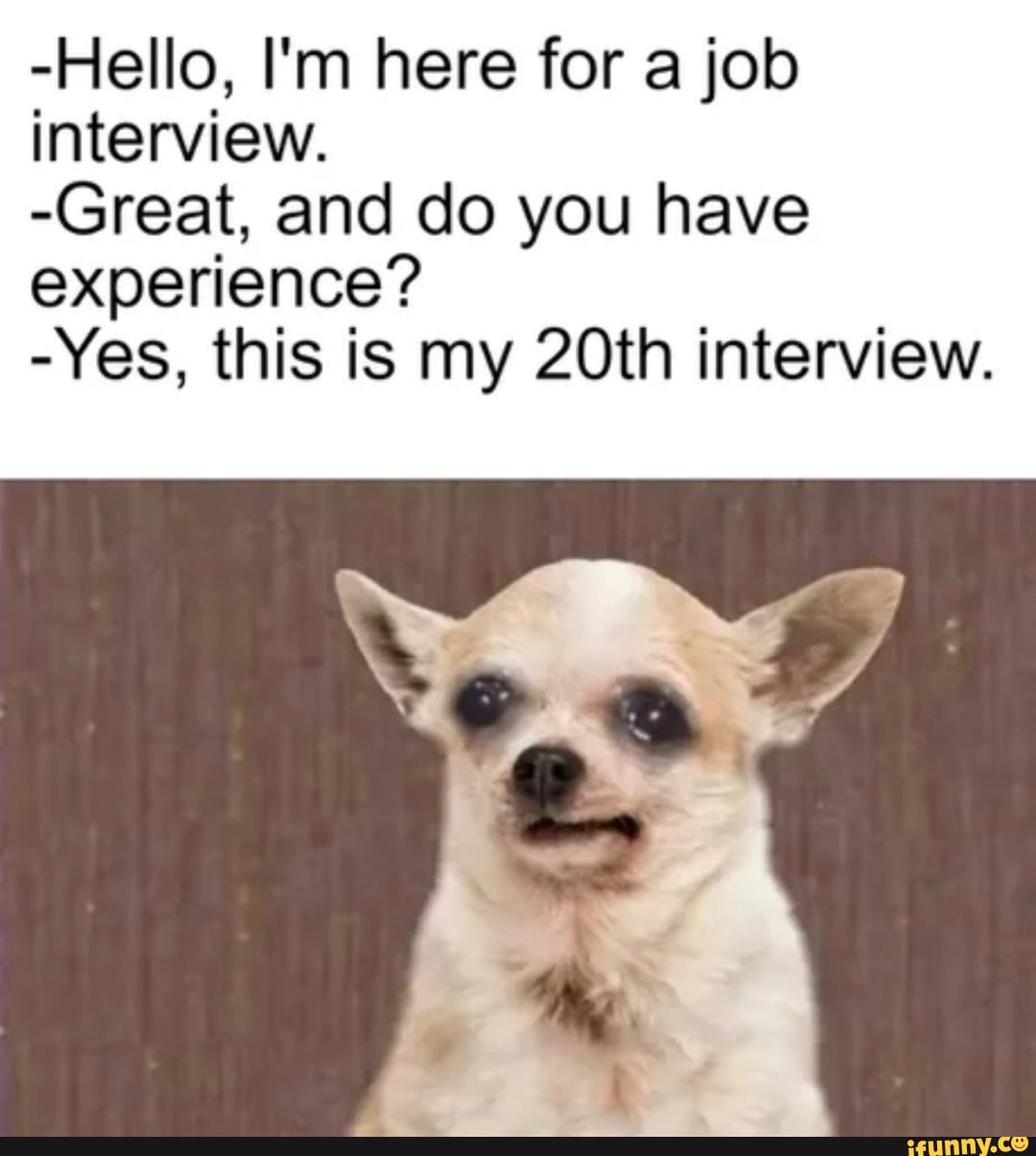 -Hello, I'm here for a job interview. -Great, and do you have ...