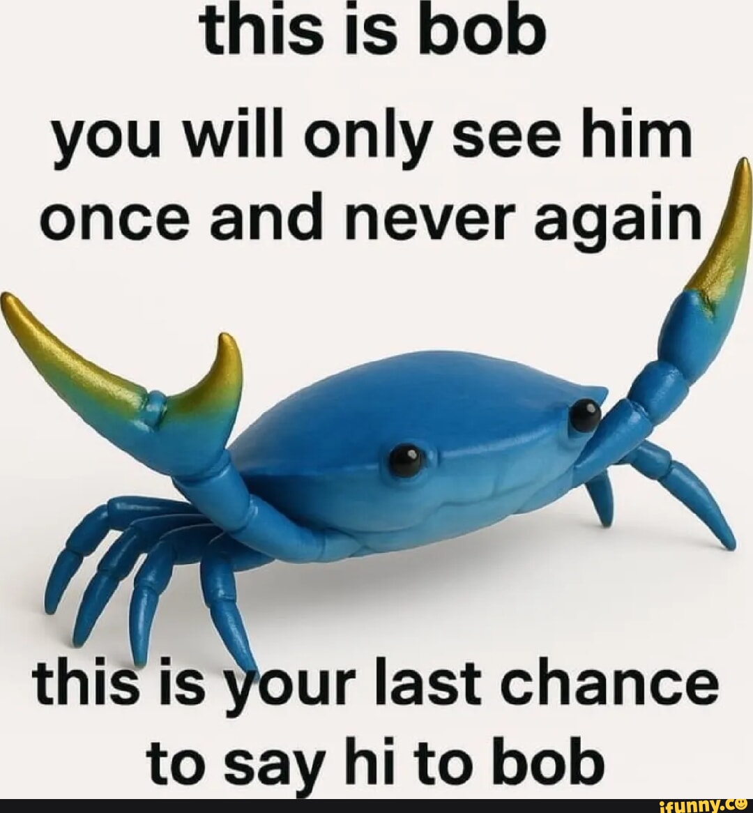 This is bob you will only see him once and never again our last chance ...