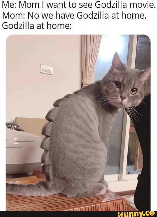 Me: Mom want to see Godzilla movie. Mom: No we have Godzilla at home ...
