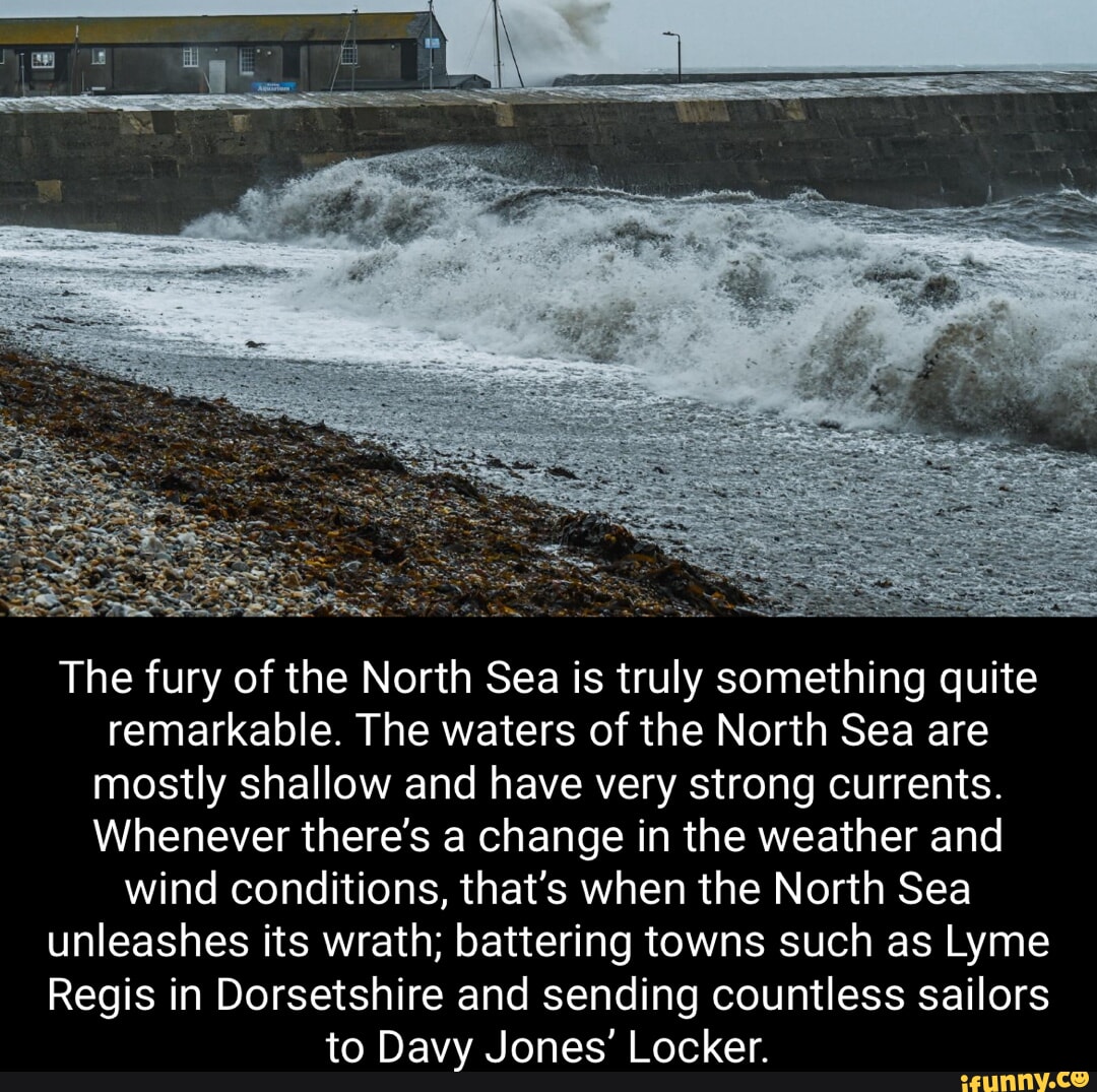 Oceanography memes. Best Collection of funny Oceanography pictures on ...