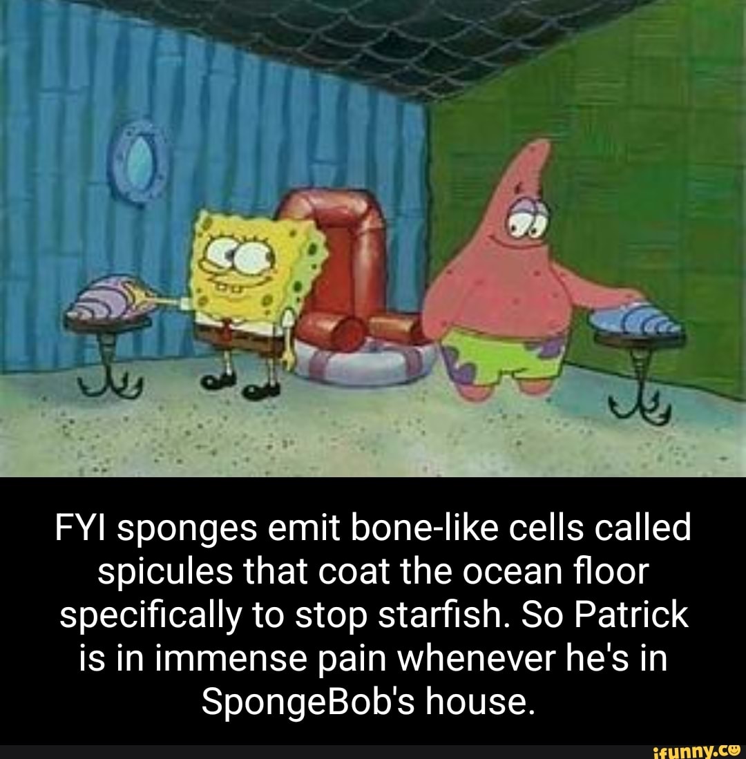 FYI sponges emit bone-like cells called spicules that coat the ocean ...