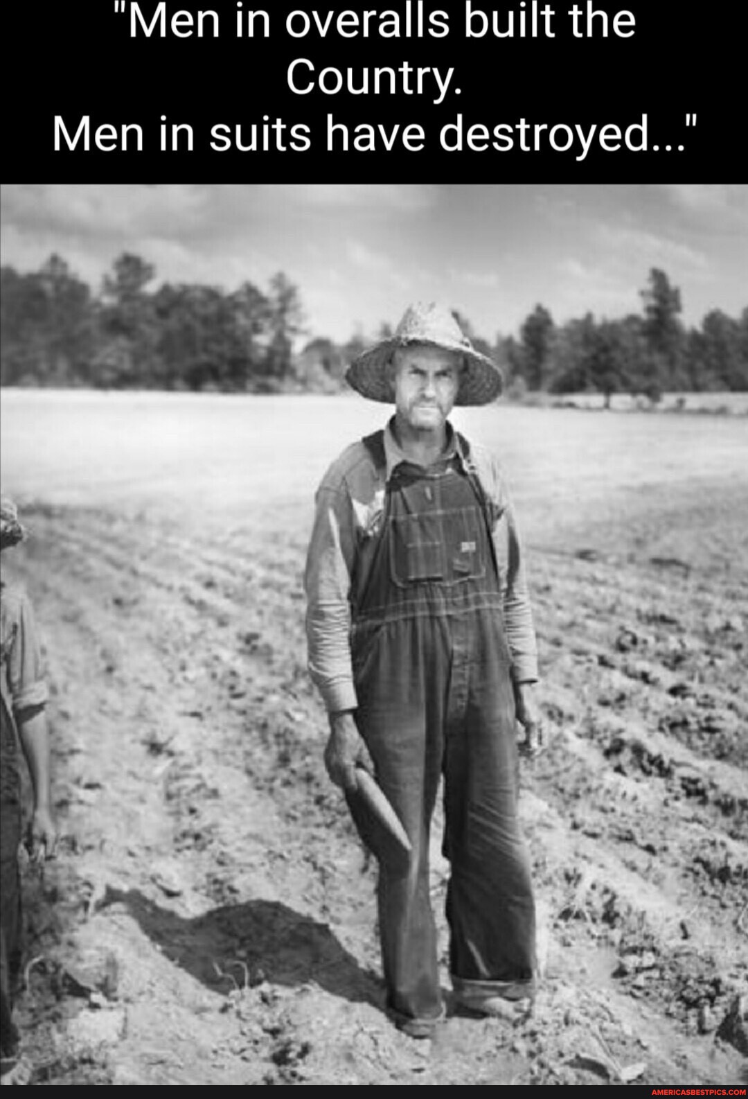 'Men in overalls built the Country. Men in suits have destroyed... I ...