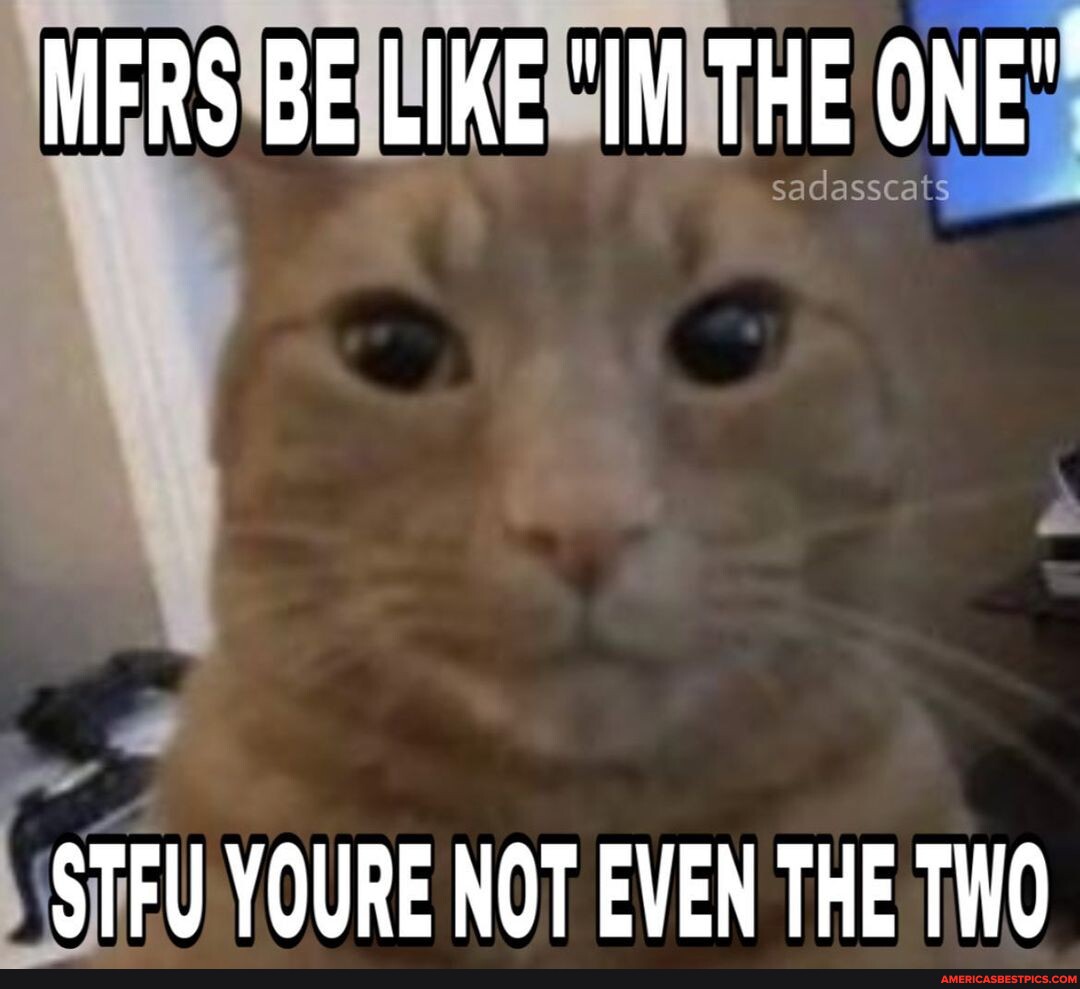 I’m the three - - - #meme #memes #cat #cats #catmeme #catmemes #sadcat ...