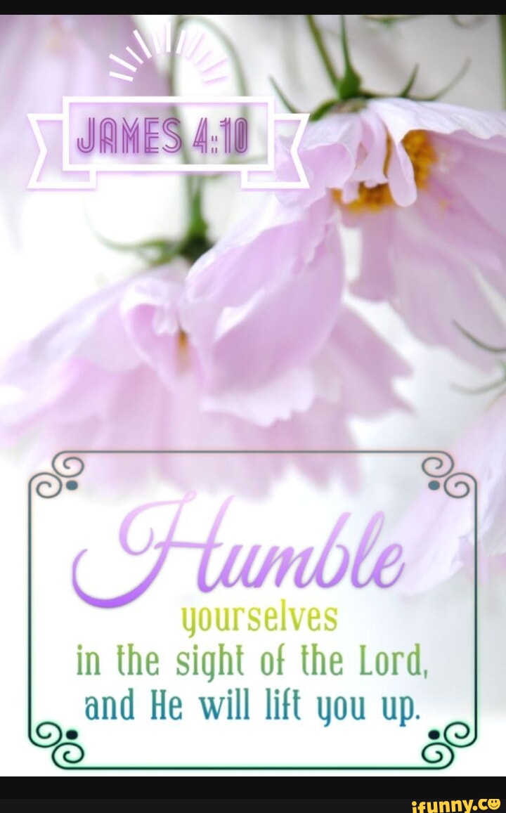 Uat memes. Best Collection of funny Uat pictures on iFunny