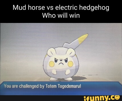 Totem memes. Best Collection of funny Totem pictures on iFunny