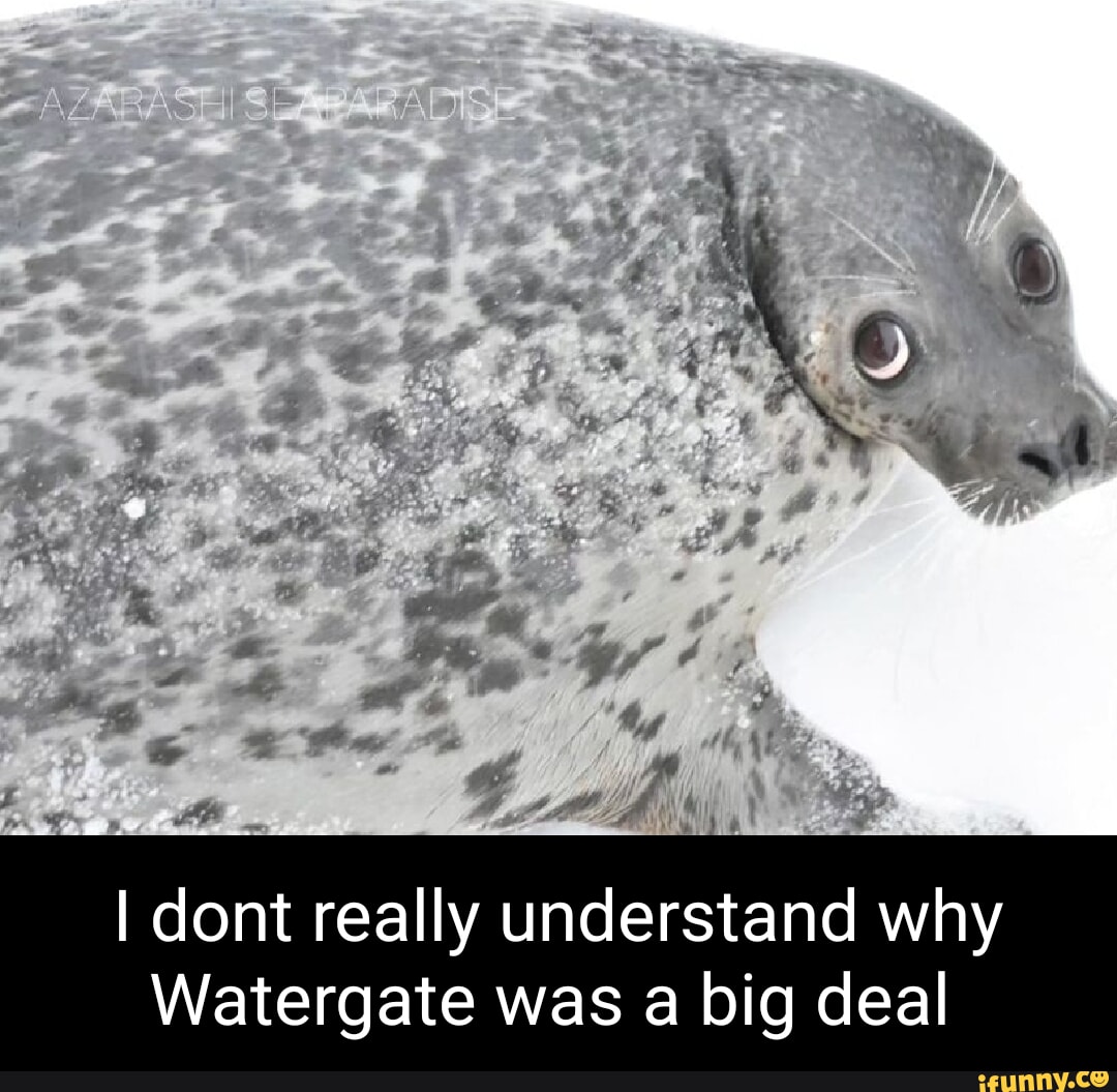 Watergate memes. Best Collection of funny Watergate pictures on iFunny
