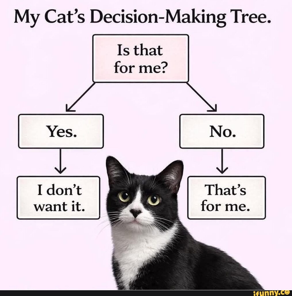 My Cat's Decision-Making Tree. Is that for me? Yes. I don't want it ...