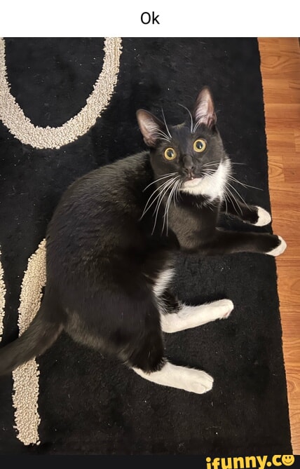 Troublemaker memes. Best Collection of funny Troublemaker pictures on ...