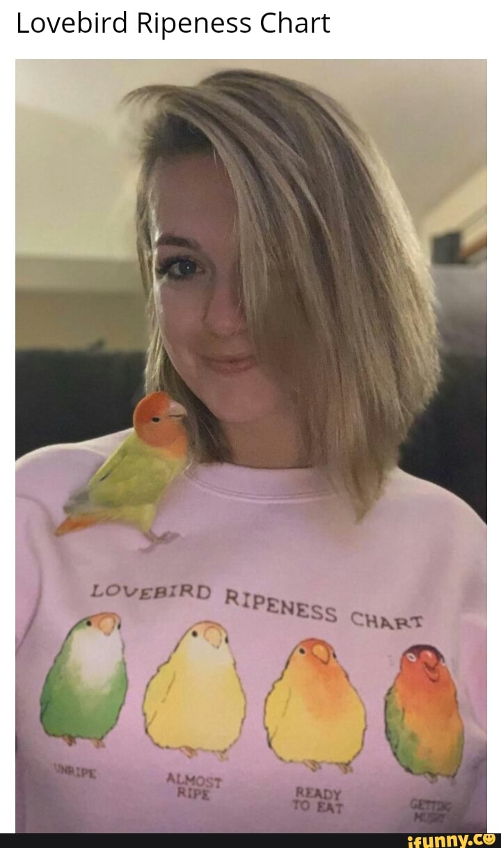 Lovebird Ripeness Chart - iFunny