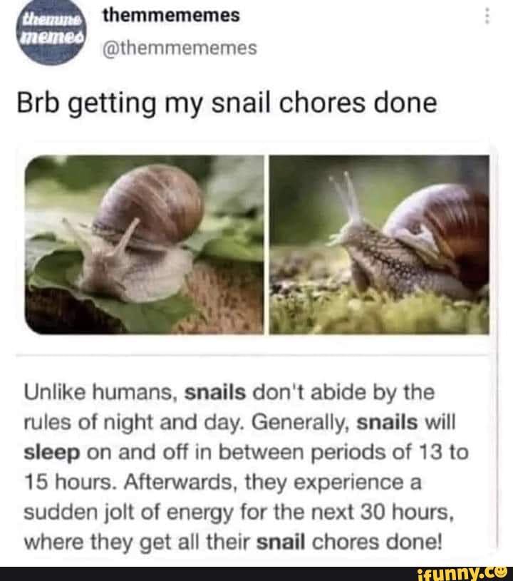 Themmememes Brb getting my snail chores done Unlike humans, snails don ...