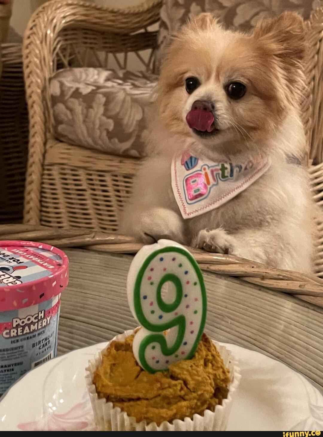 Ppf memes. Best Collection of funny Ppf pictures on iFunny