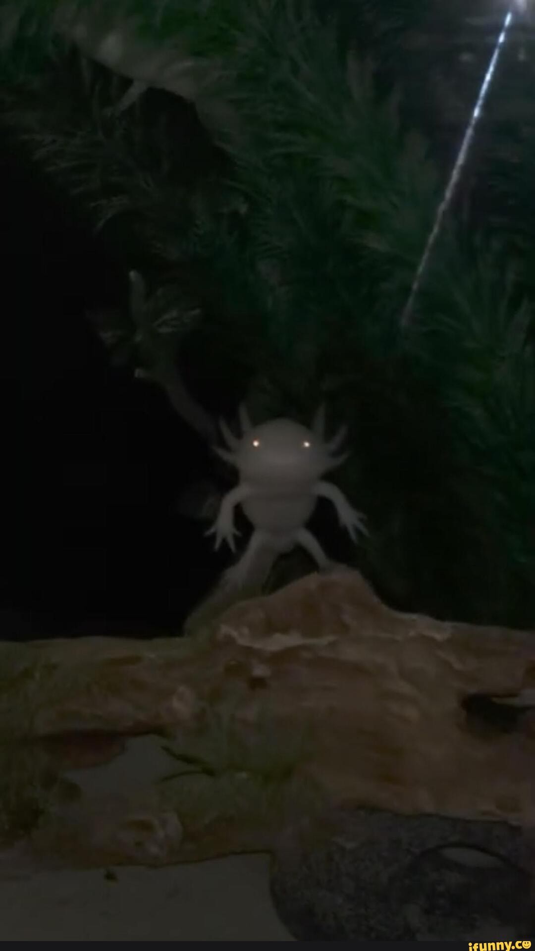 You have summoned the dark lord axolotl. Give him an offering of peace ...