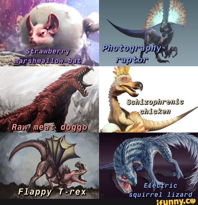 Lizard memes. Best Collection of funny Lizard pictures on iFunny