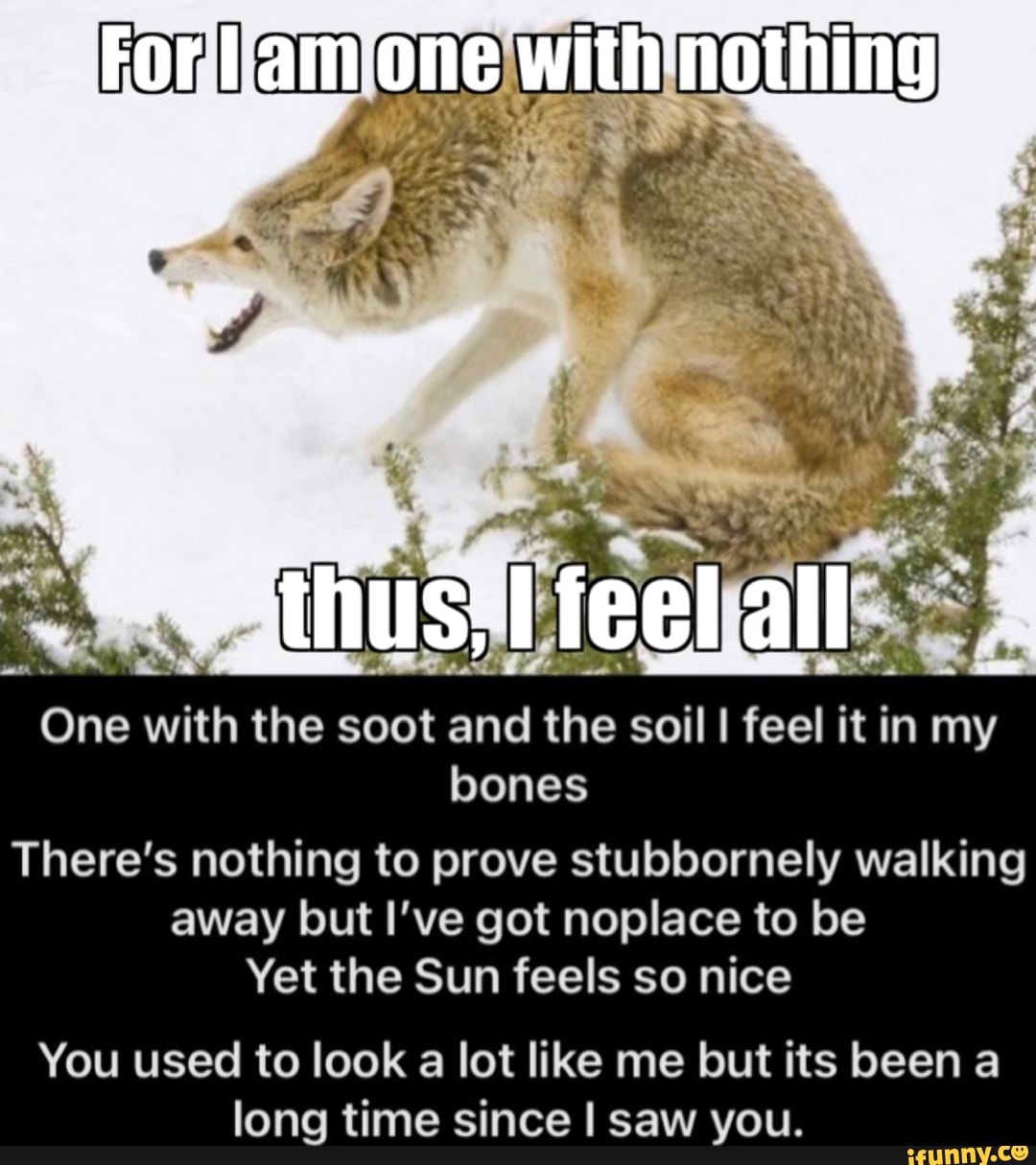 Feel All The Feels Meme