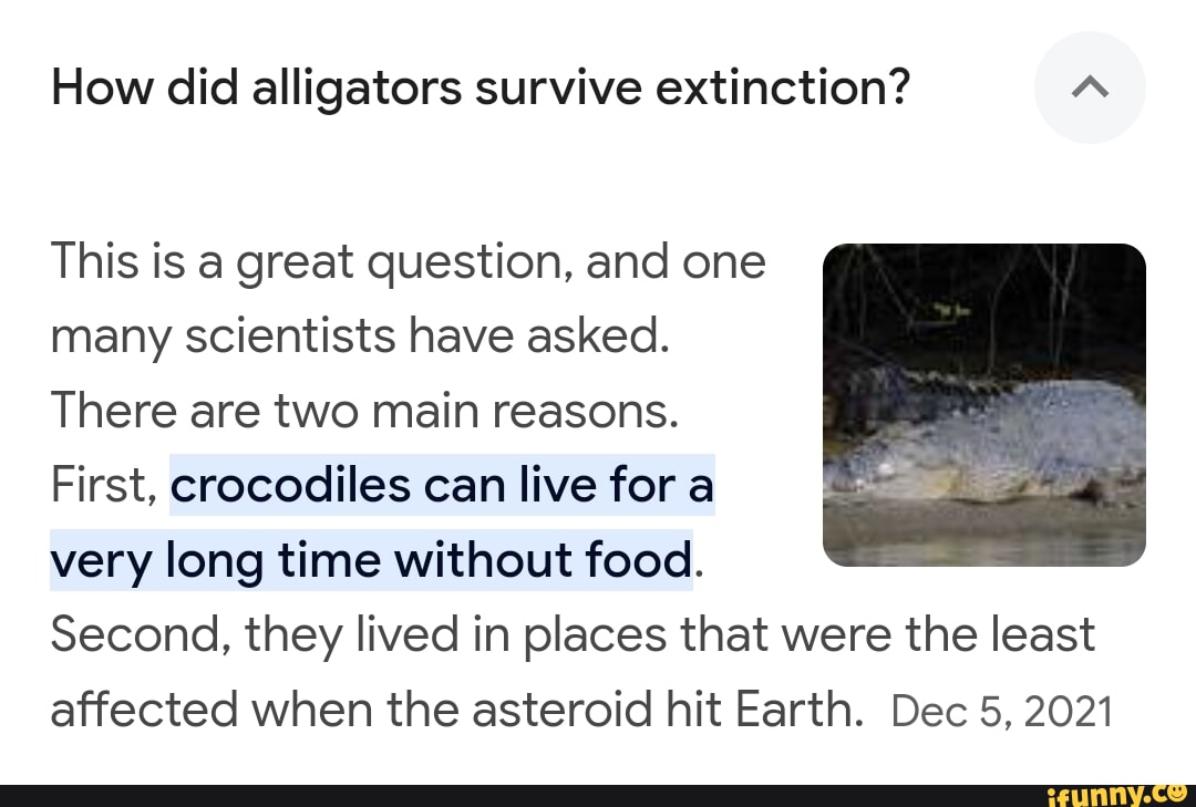 How did alligators survive extinction? This is a great question, and one many scientists have ...