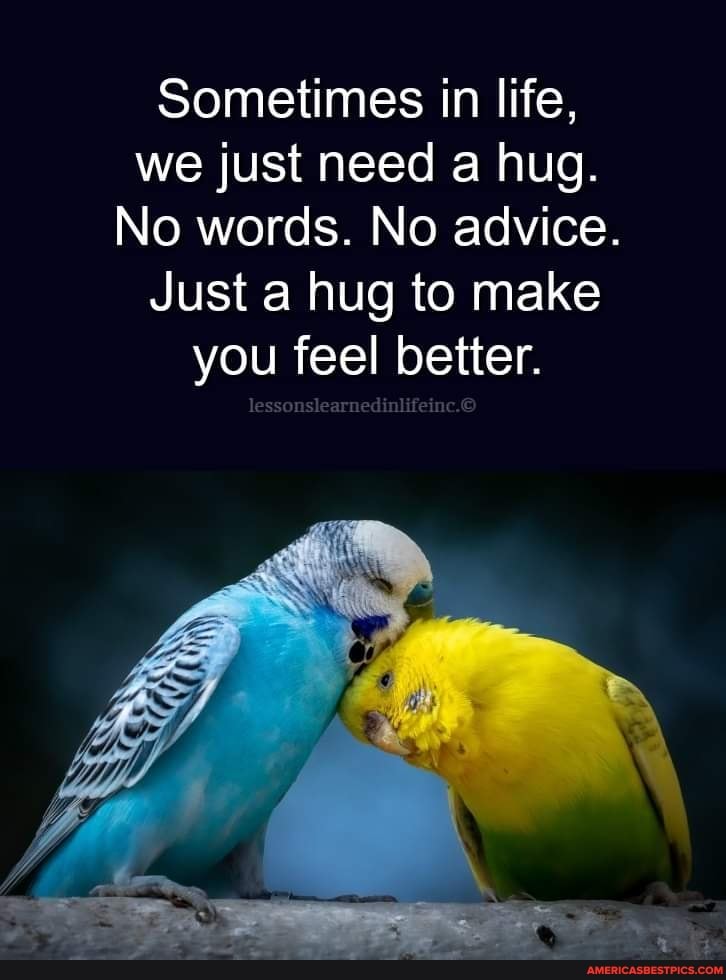Sometimes in life, we just need a hug. No words. No advice. Just a hug ...