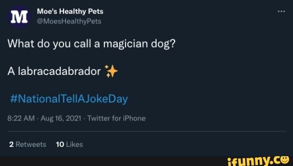 Labracadabrador memes. Best Collection of funny Labracadabrador ...
