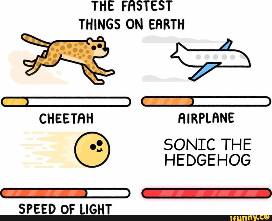 THE FASTEST THINGS ON EARTH PRR DD CHEETAH AIRPLANE SONIC THE HEDGEHOG ...
